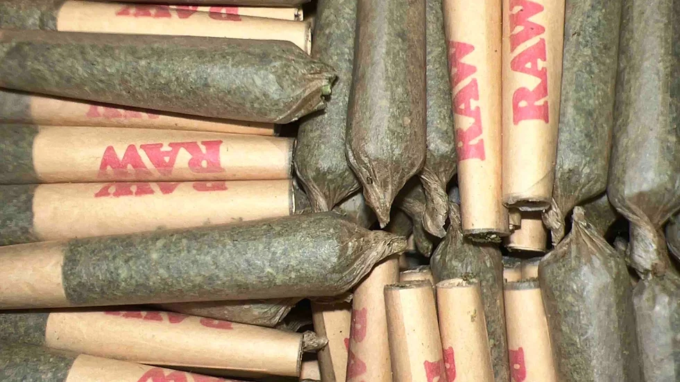 PB&J Exotic Mini | San Diego Q Way